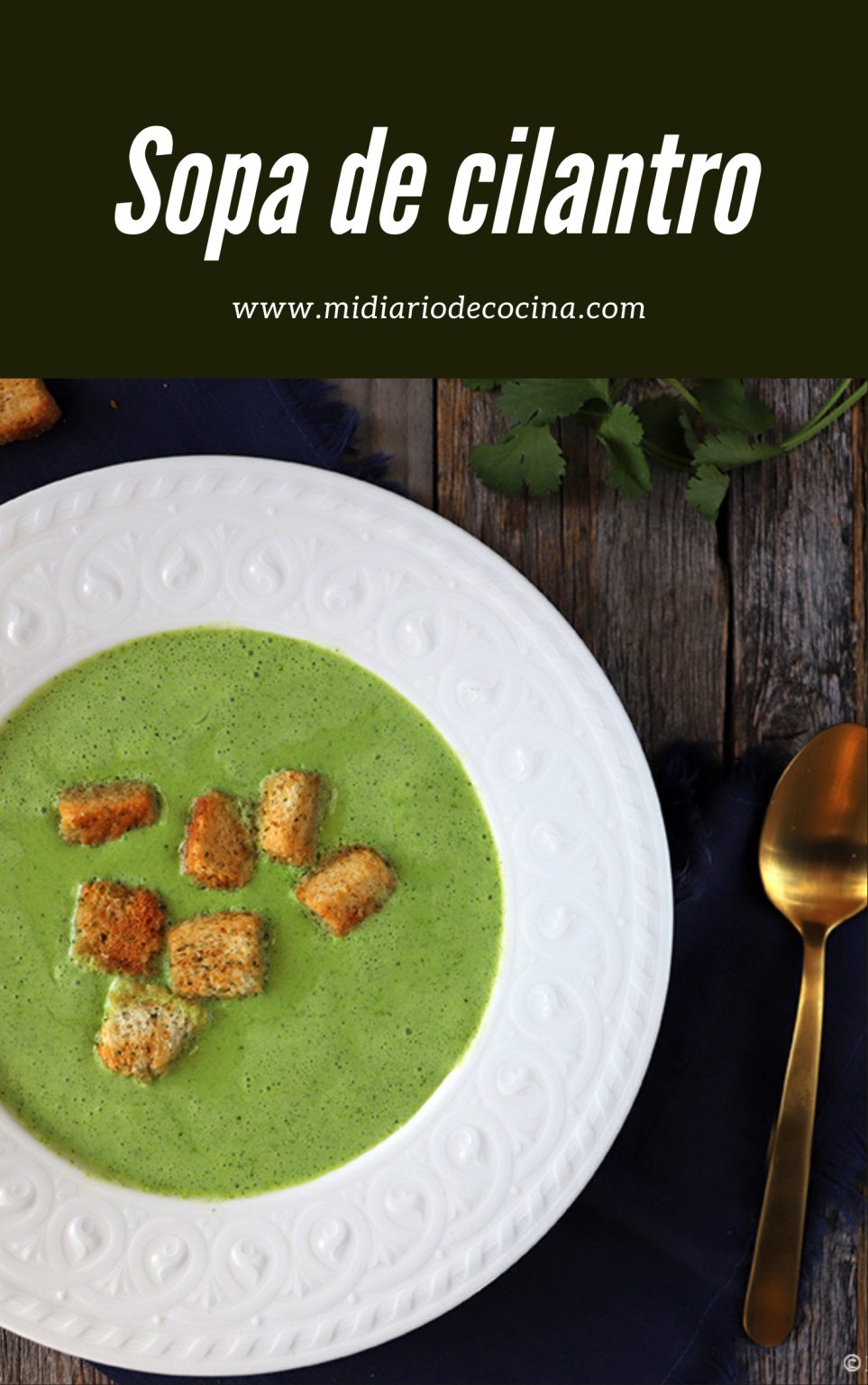 Sopa de Cilantro – Mi Diario de Cocina Sopa de Cilantro – Mi Diario de Cocina